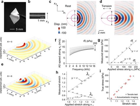 Imaging And Analysing Elastic Waves In A Stretched Rubber Membrane A Download Scientific