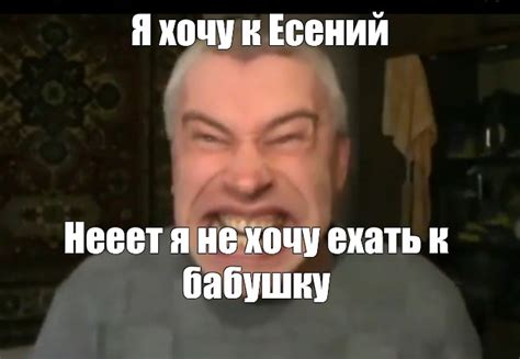 Мем Я хочу к Есений Нееет я не хочу ехать к бабушку Все шаблоны Meme