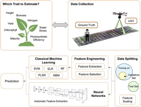 Drone‐based imaging sensors, techniques, and applications in plant phenotyping for crop breeding ...