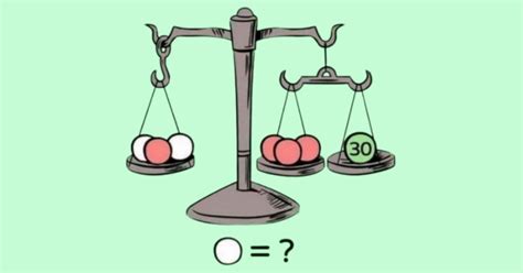 그림속에 있는 흰색공의 무게를 맞춰주세요 성인의 99 가 실패하는 초등학교 3학년 수학문제 웰빙미디어