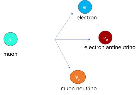 Classification Of Particles Questions And Revision Mme