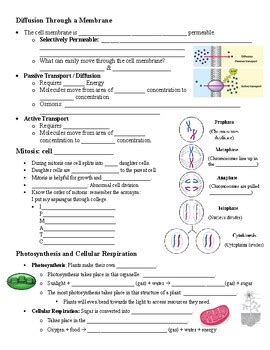 Cells Unit Study Guide Key By Tara Litvin TPT