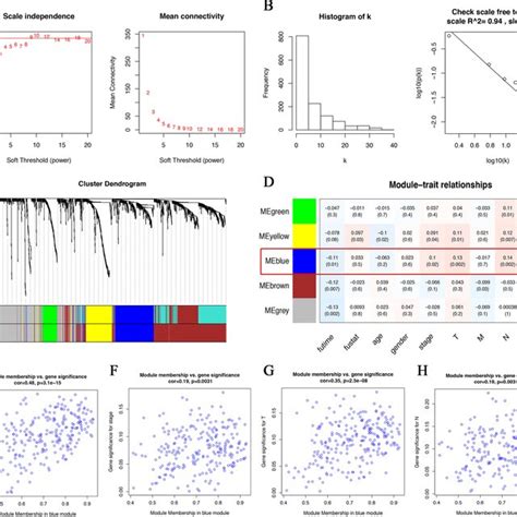 Wgcna Analysis And The Correlation Between The Key Module And The