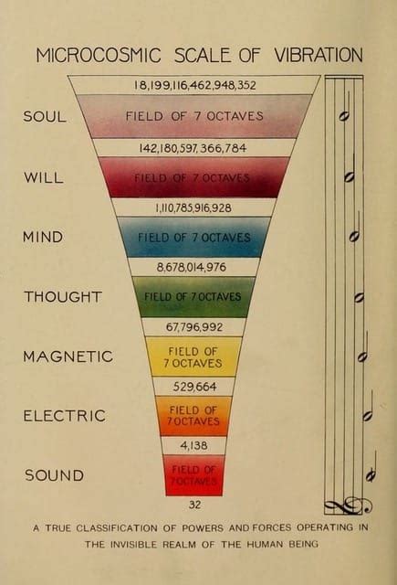 Microcosmic Scale Of Vibration