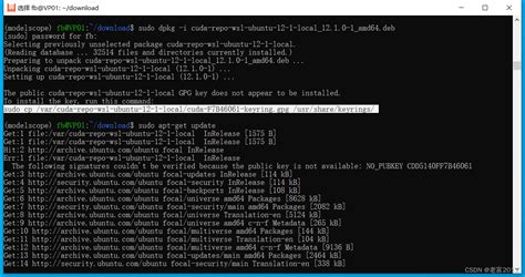 【wsl2笔记2】 搭建深度学习开发环境踩坑笔记 ubuntu cuda cudnn pytorch tensorflow onnx 从零搭建