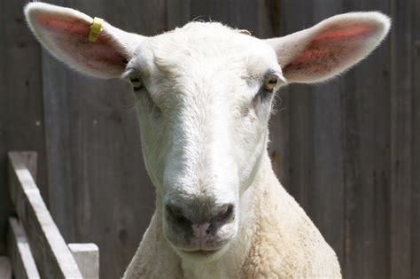 Mabel Murples Book Shoppe And Dreamery — Maritimes Maven