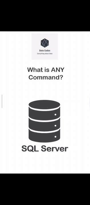 Any Command Sql Server Datacodex Sqlserver Sqlforbeginners Shorts Youtube