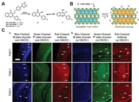 A Boronate‐based Esipt Fluorescent Probes For Peroxynitrite Onoo⁻ Download Scientific