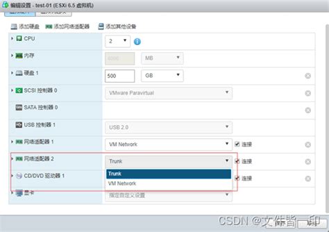 一张图了解vmware Vsphere网络架构 Vmkernel网卡 Csdn博客