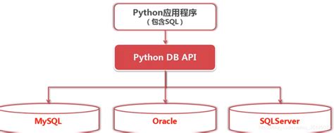 Python操作数据库指南 Csdn博客