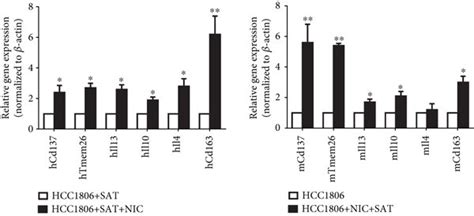 Quantitative Gene Expression Analysis Of Hcc70 Cells Following Ex Vivo