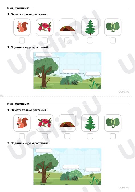 📒 Рабочий лист №2 по теме “Строение растений Базовый уровень” для 1 класса Учи ру