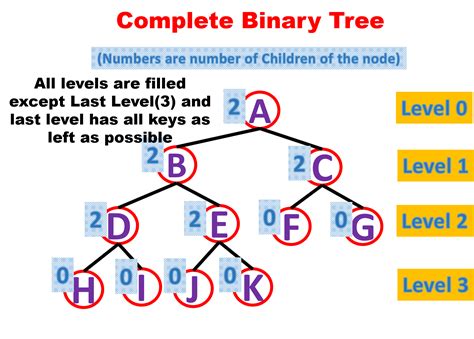 எலலம அவர சயல What is Binary Tree