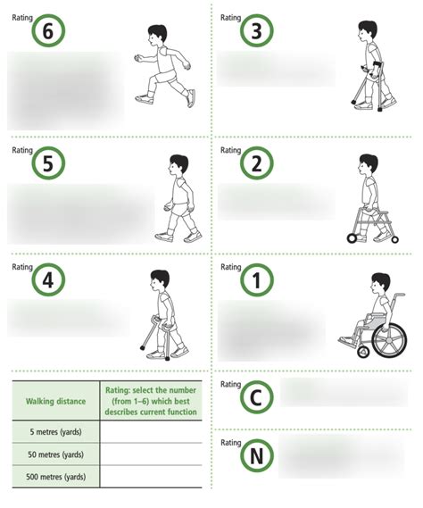 Diagram Of Functional Mobility Scale Fms Quizlet