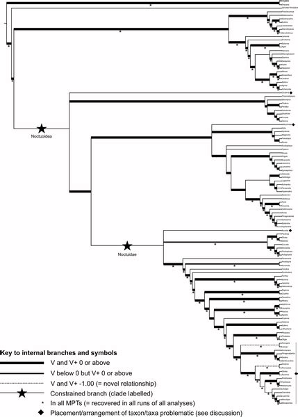 Plant Phylogenetics Plos One