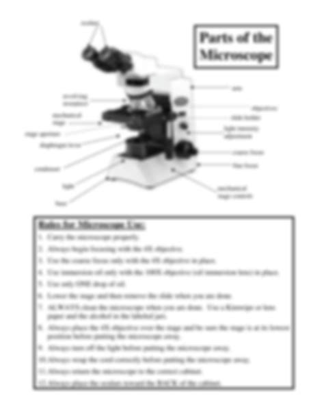 SOLUTION Microscope Use And Care Studypool