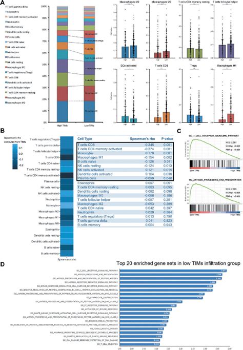 Differences Of Immune Cell Infiltration And Biological Process Pathways
