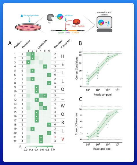 Elliot Hershberg On Linkedin Encoding Digital Signals Into Dna There