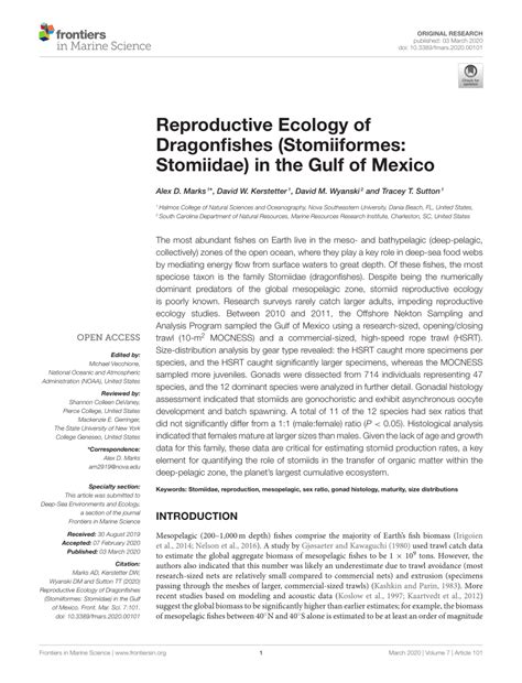 Pdf Reproductive Ecology Of Dragonfishes Stomiiformes Stomiidae In