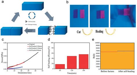 Self Healing Performance Of The Dual Crosslinked Ionogels A