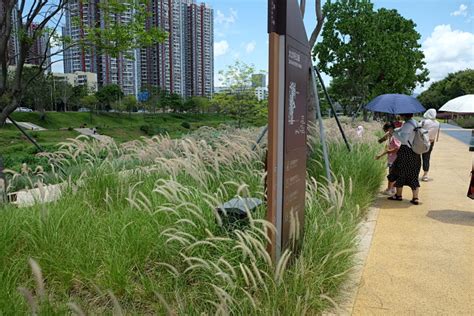 深圳大沙河生态长廊