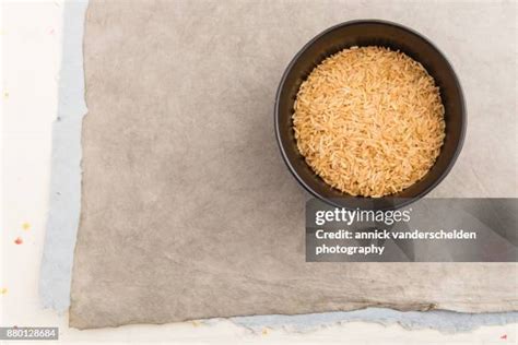 Selenium Cell Photos And Premium High Res Pictures Getty Images