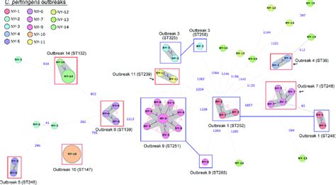 minimum spanning tree based on the core genome mlst genes of 52