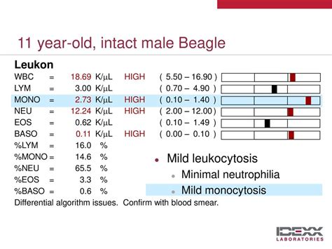 “algorithm Issues” In A Canine Hemogram Ppt Download