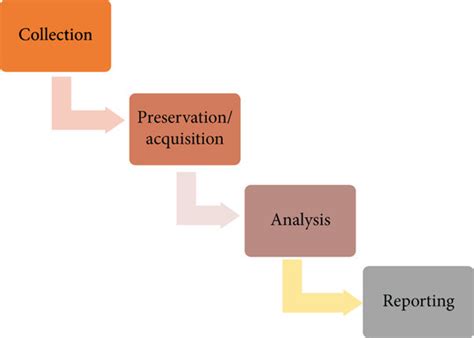 Nist Forensic Analysis Process Download Scientific Diagram