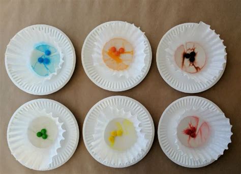 Top Science Fair Project Ideas For Success