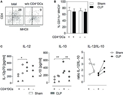 Cd11c Hi Mhcii Cd4 Dendritic Cells Dcs Within The Bone Marrow