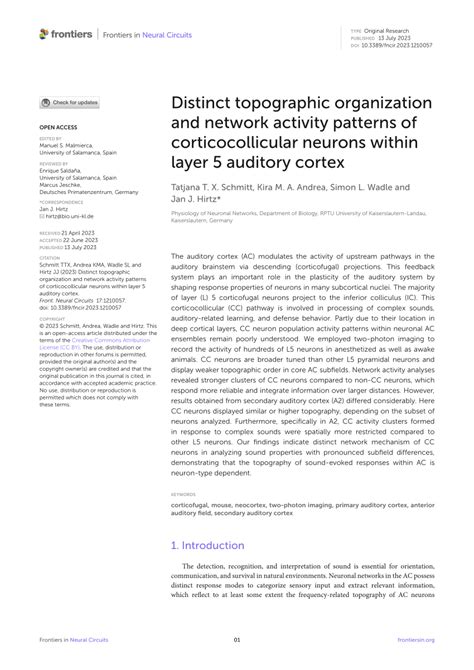 Pdf Distinct Topographic Organization And Network Activity Patterns