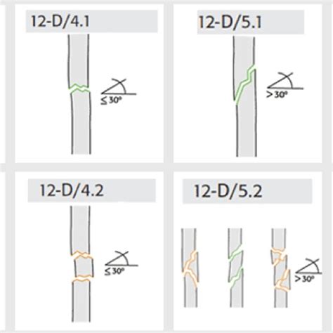 Fracture Classification According To The Aoota Classification System