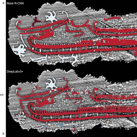 Examples Of Segmentations Created By A Deeplabv3 With Resnet 50 Download Scientific Diagram