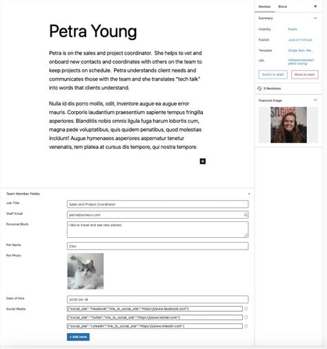 Meta Box Creating A Custom Post Type Plugin Webtng