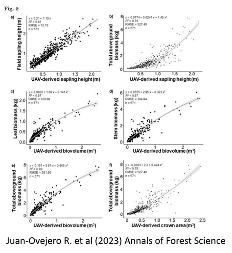 Estimation Of Aboveground Biomass And Carbon Stocks Of Quercus Ilex L