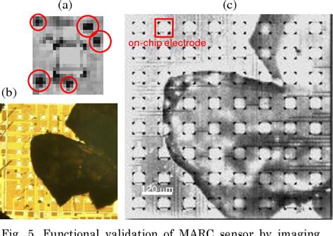 figure 1 from planer multi electrode array coupled cmos image sensor