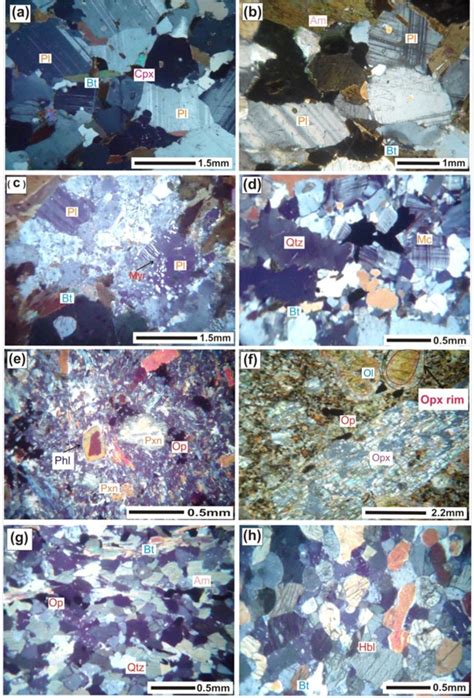 Photomicrograph Showing The Representative Mineral Assemblages And Download Scientific Diagram