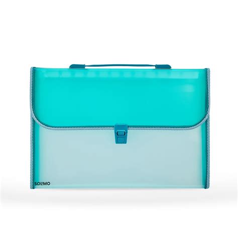Amazon Brand Solimo Semi Transparent Expanding File Folder With 13 Pockets Handle And Buckle