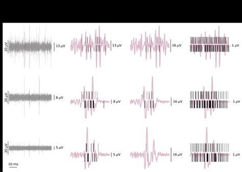 Optimal Spike Generation Threshold For The Asynchronous Delta Modulator Download Scientific