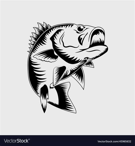 Bass Fish Jumping Outline