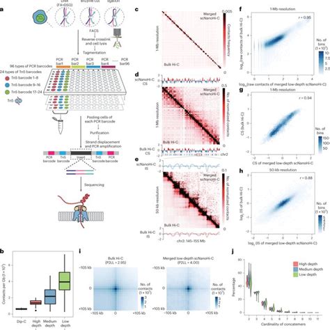 Detection Of Cell Type Specific Chromatin Structures And Genomic