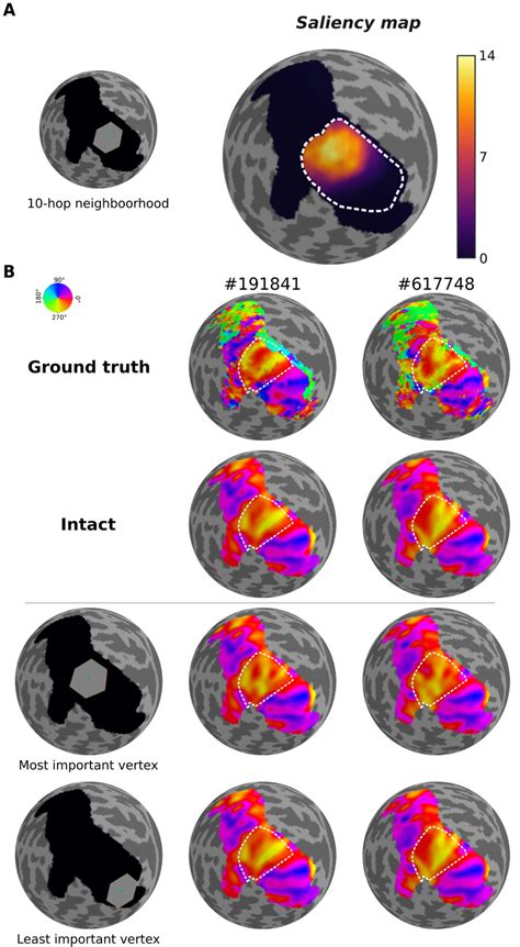 Spatial Location Of Important Vertices A Saliency Map Right