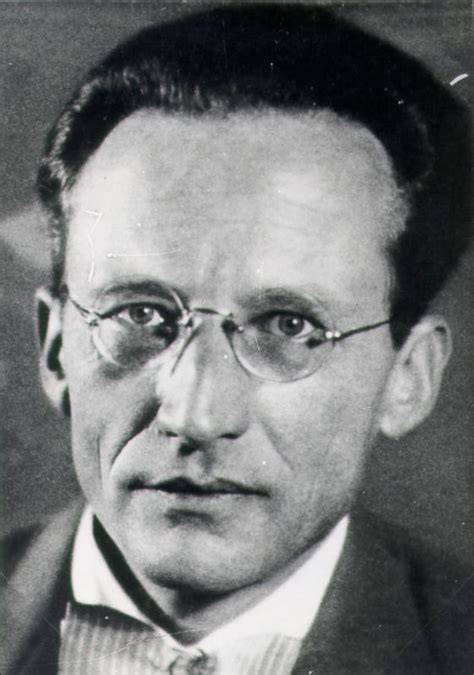 Erwin Schrödinger 에르빈 슈뢰딩거 네이버 블로그