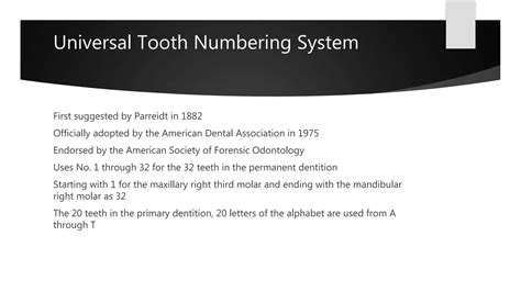 Tooth Notation Ppt