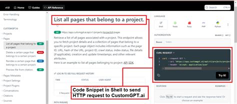 Custom Gpt Rag Api Shell Enhancing Command Line Applications With