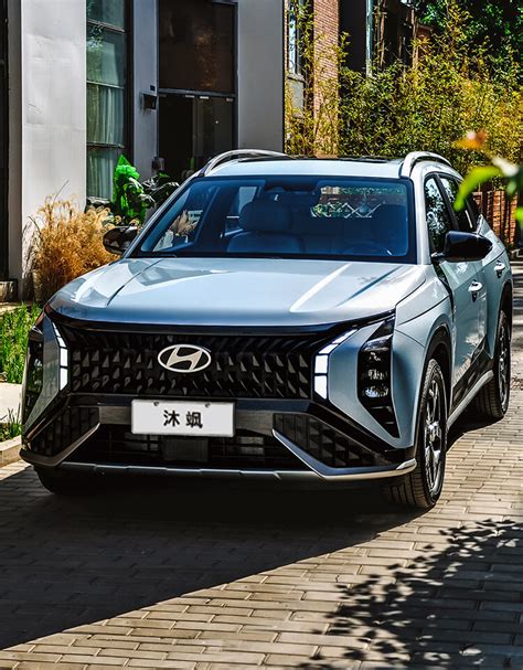 Mufasa 沐飒 北京现代