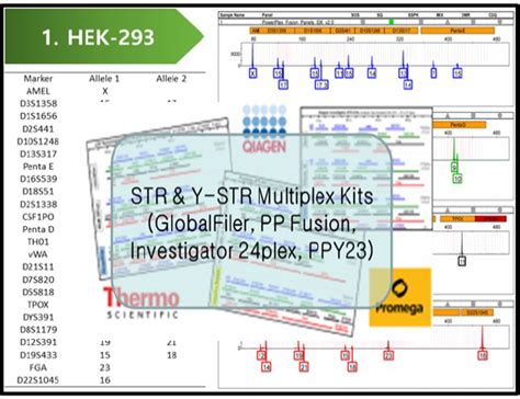 Id Cell Forensics Tech Detail Str