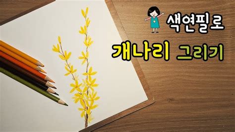 쉬운 색연필 그림 무료 특강