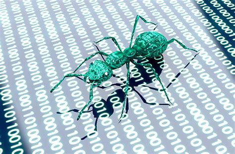 61900 Bug Informatico Foto Stock Immagini E Fotografie Royalty Free
